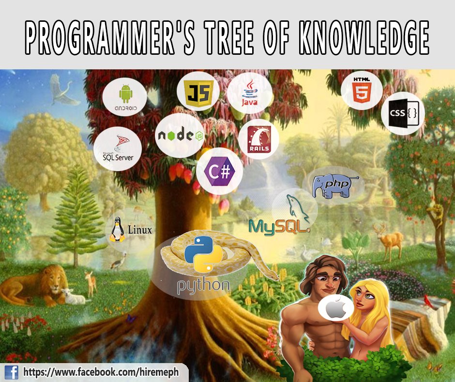 Programmer’s Tree of Knowledge! | HireMe.ph